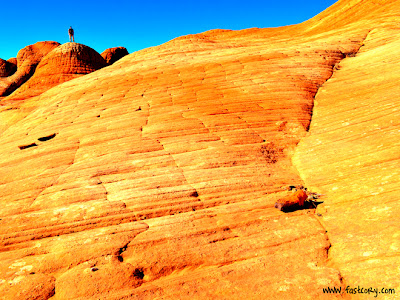 Fast Cory: Yant Flat - Most Beautiful Place In Utah?