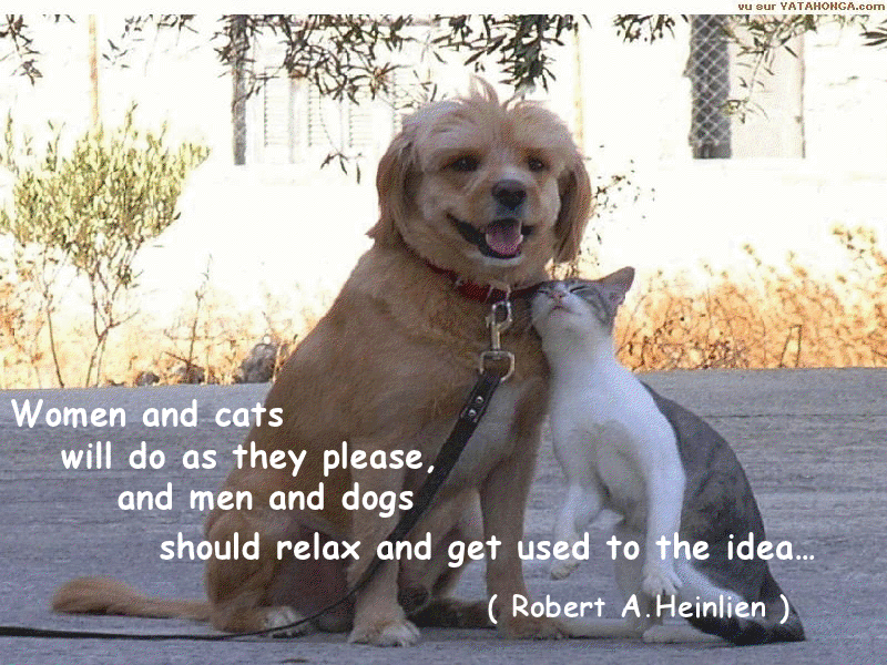 I love Egypt: DOG PHILOSOPHY