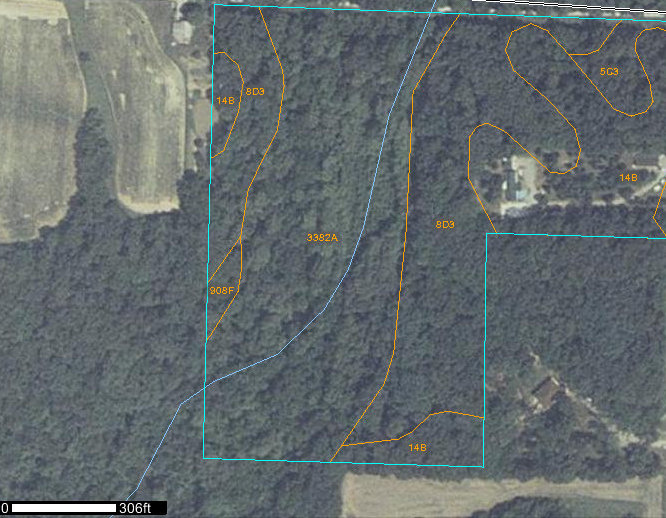 True Blue Sam the Travelin' Man: Site Indicator: There's Crawdad Holes ...