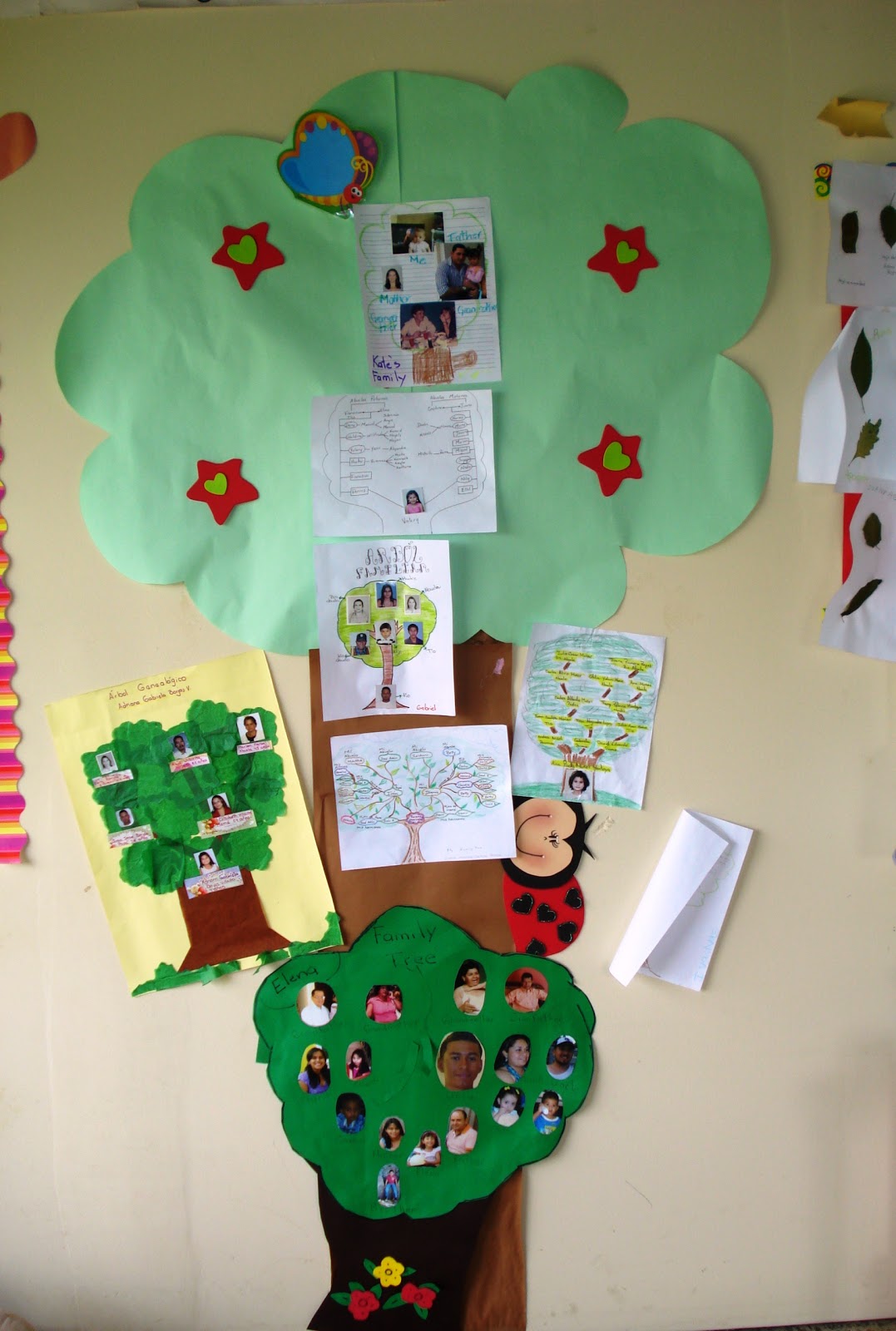 LEARN AND PLAY...: FAMILY TREE PRE-K