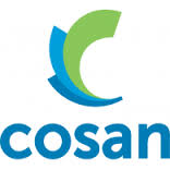Análise de Empresas: Cosan (CSAN)
