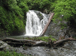 Capas Tarlac Tourist Attraction - Tourist Destination in the world