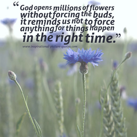 Inspirational Quotes Flower God. QuotesGram