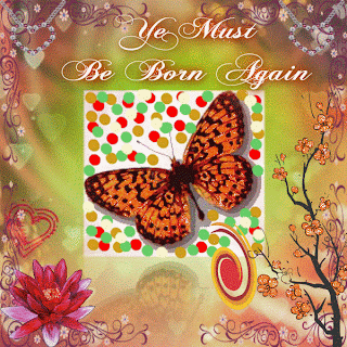 Born Again Signs / Glitter Too