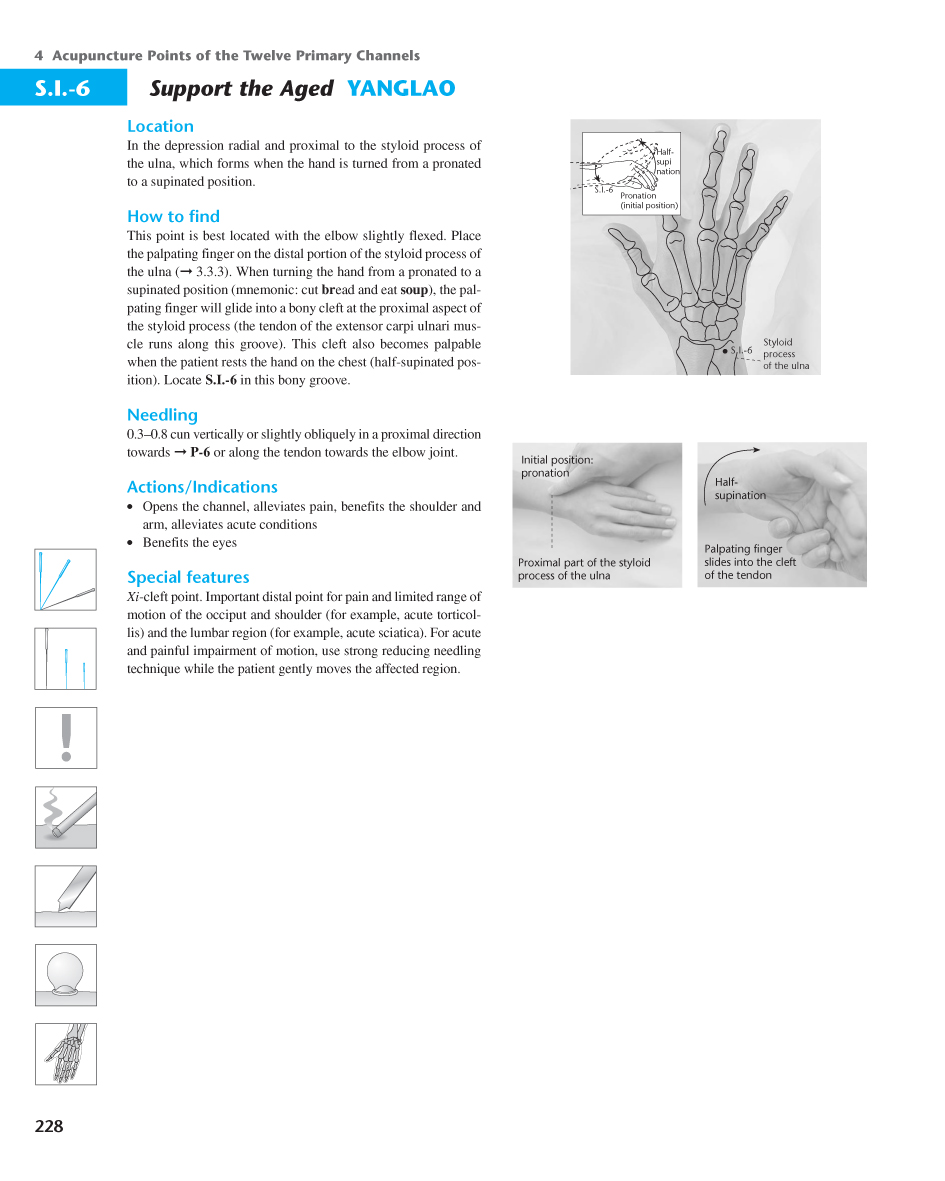 Acupuncture Masters: Acupuncture Points Database - Small Intestine Channel