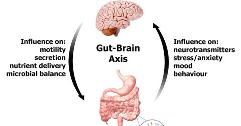 Nutrient Absorption For Children