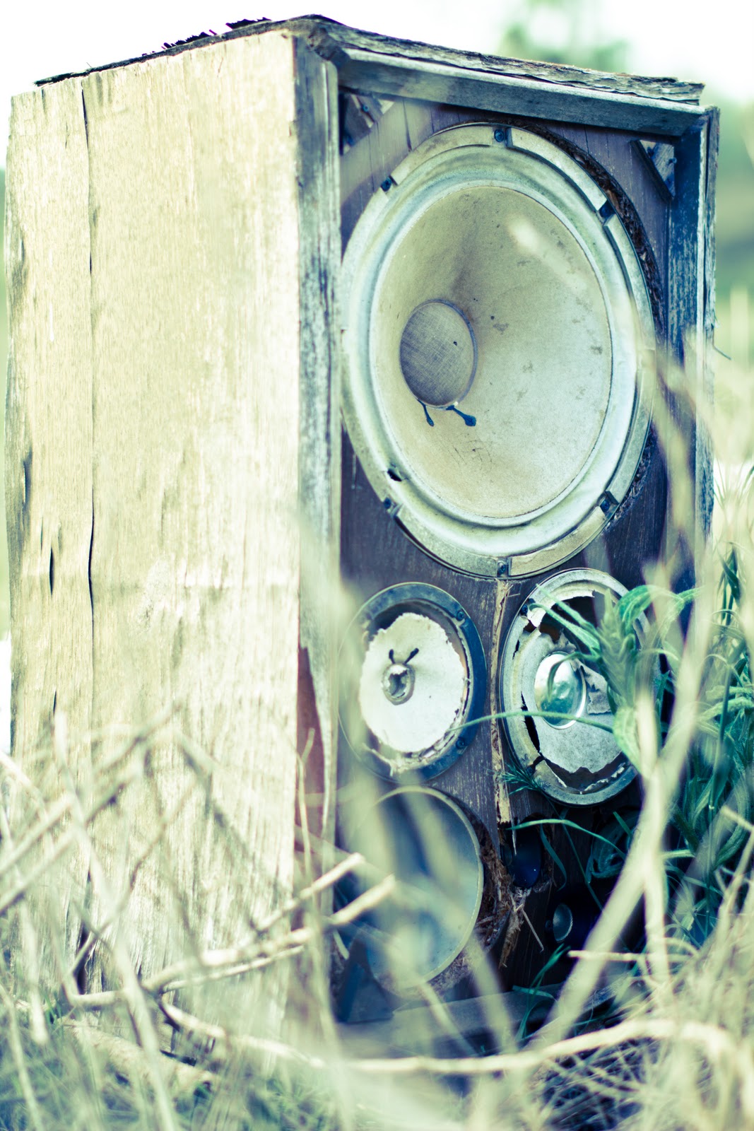 Marc Ewalt Photography