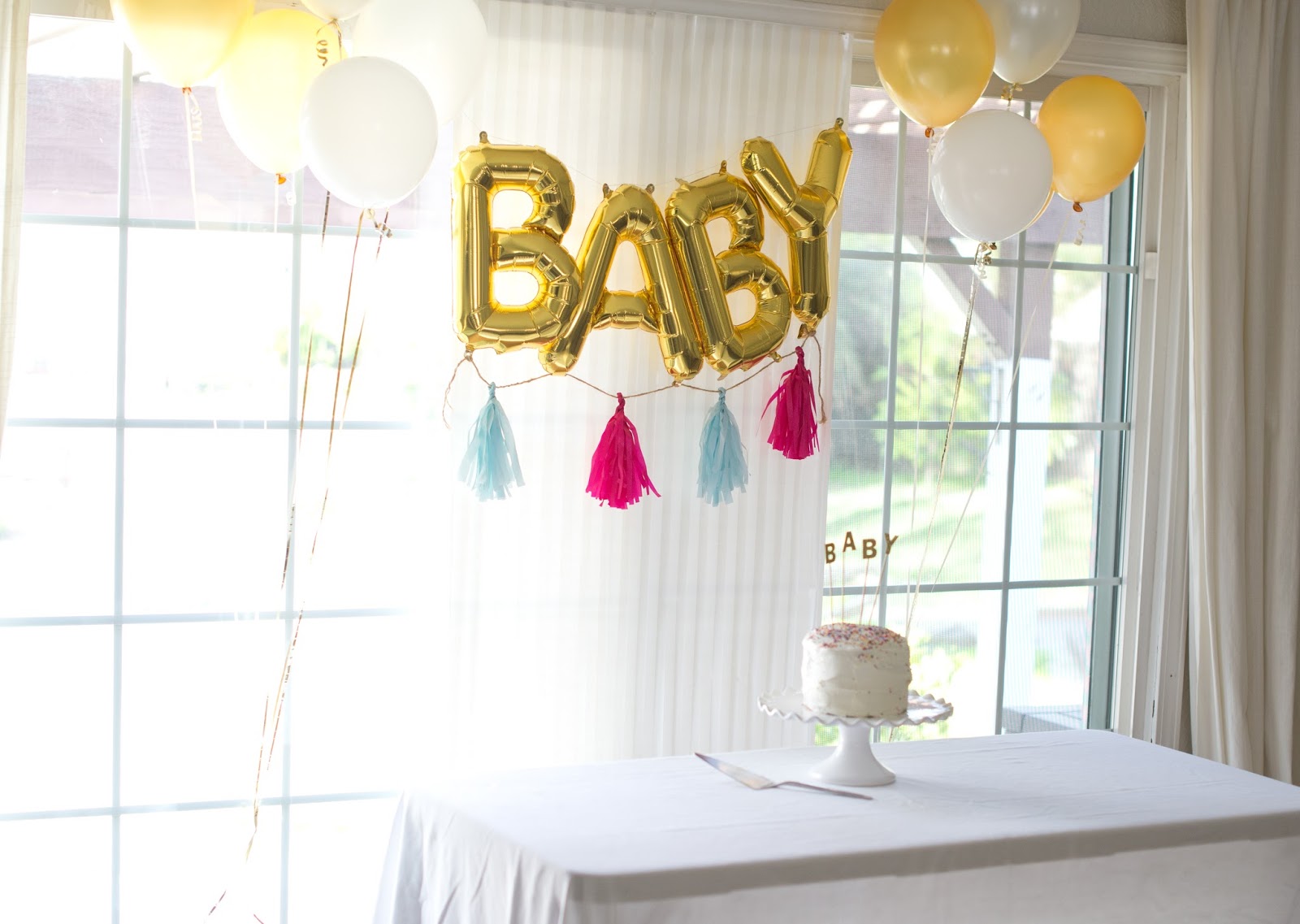 Baby Gender Party Decorations