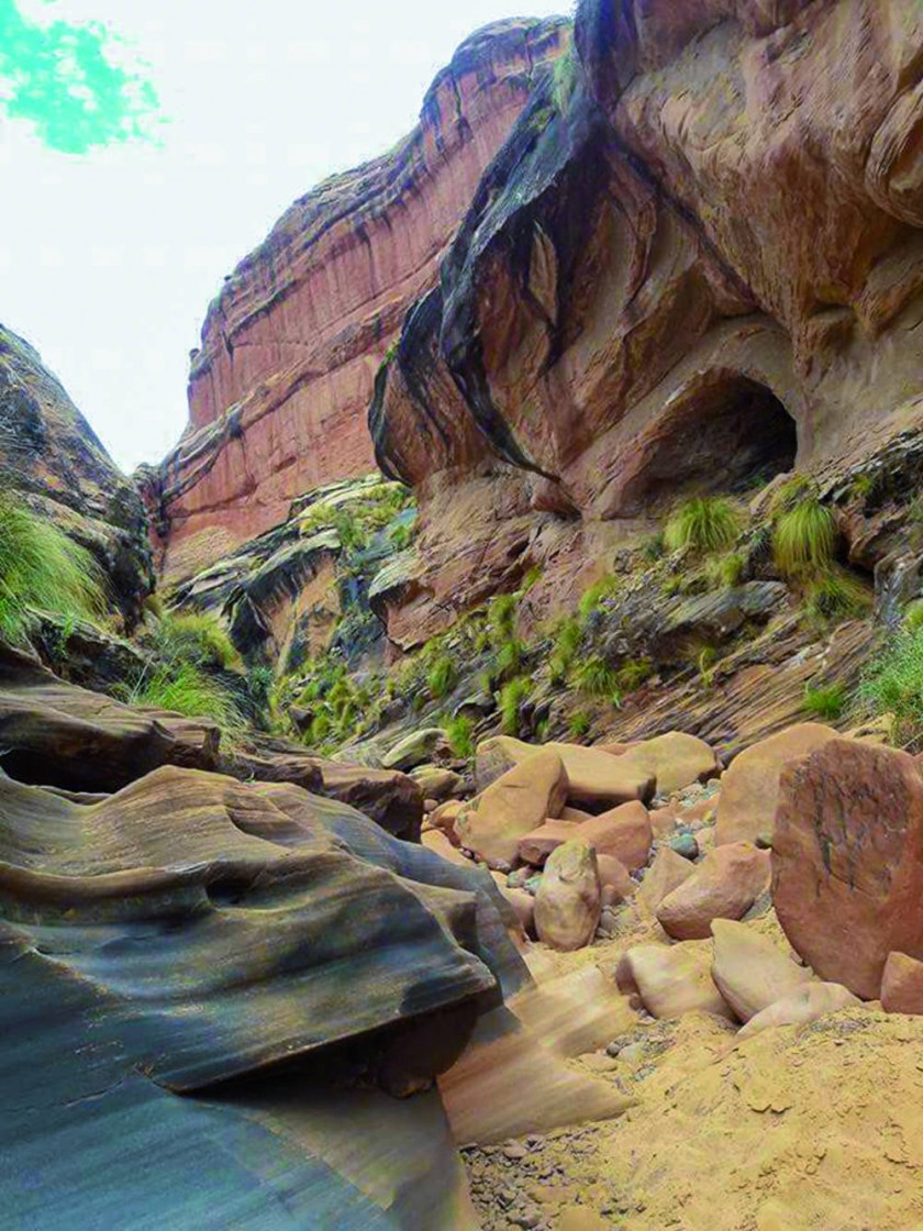 Thamari: Guardián de pinturas rupestres | NOTAS DE TURISMO EN BOLIVIA