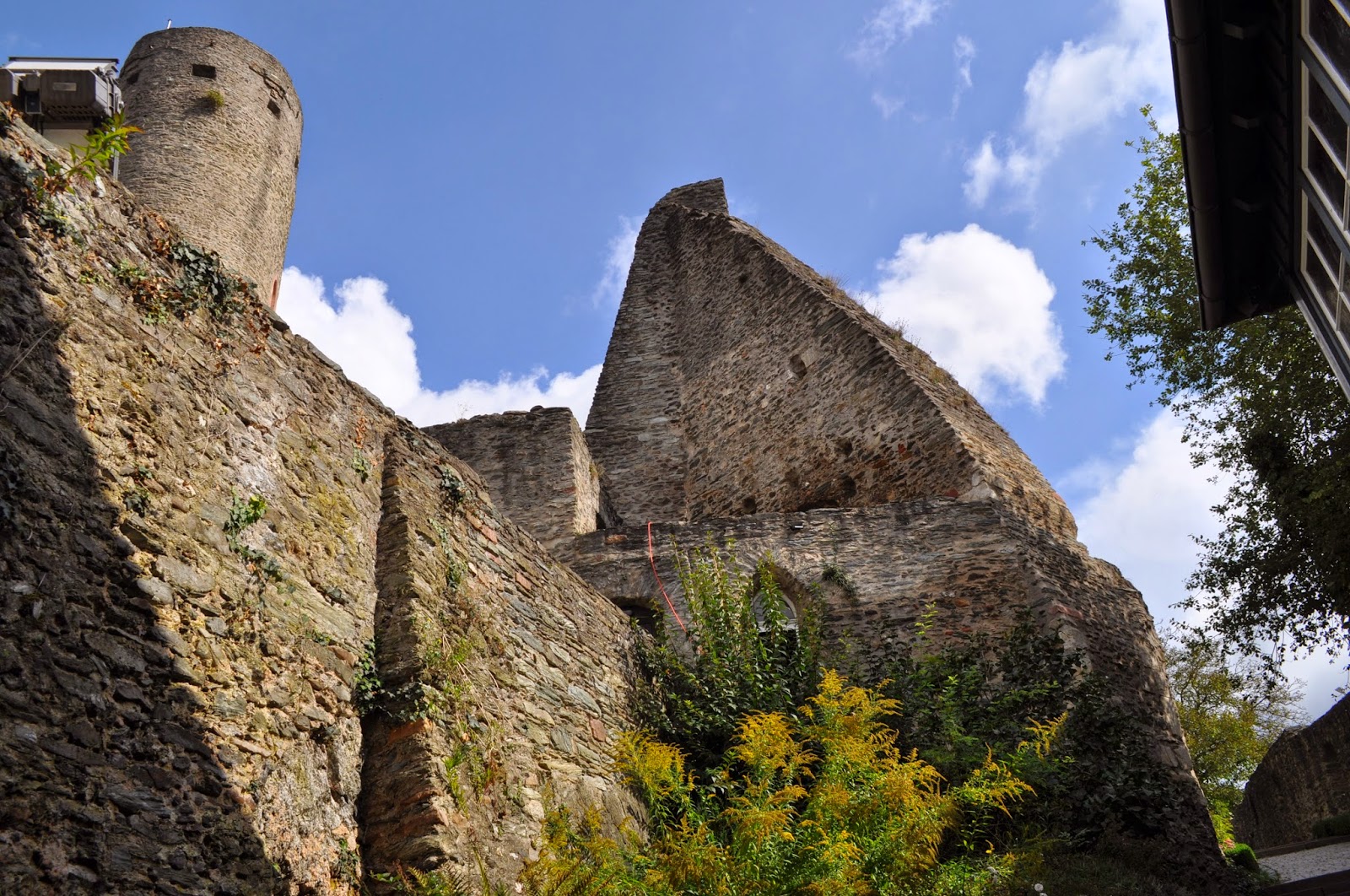 Teacher, Traveler & a Rhodesian Ridgeback: Train to Eppstein