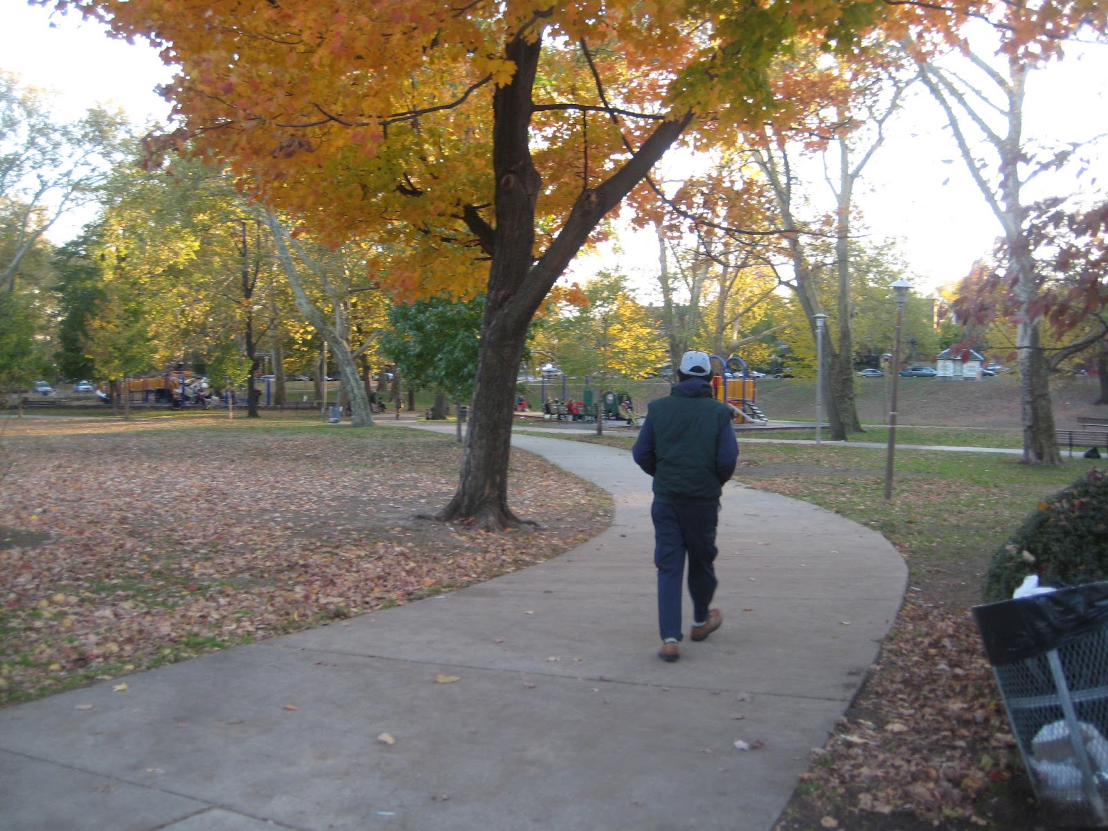 Foot Notes on Walking by David Macauley: Taking a Line (or a Curve) for ...