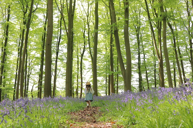 PHOTOGRAPHY: A Seasonal Outdoor Calendar | Treasure Every Moment