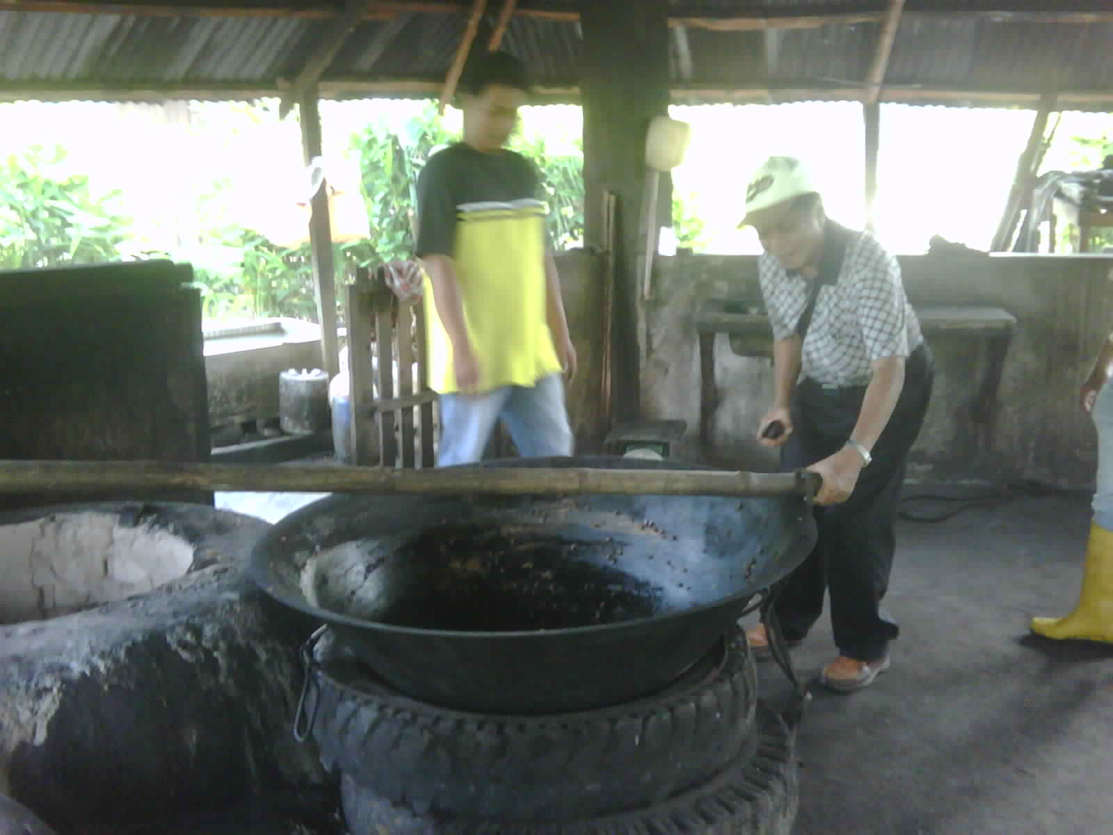 kebun aren: Berkunjung ke Kebun Aren di Balung River Eco Resort, Tawau ...