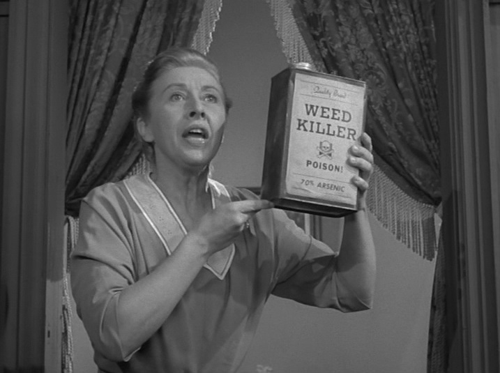 bare•bones e-zine: The Hitchcock Project-Francis and Marian Cockrell ...