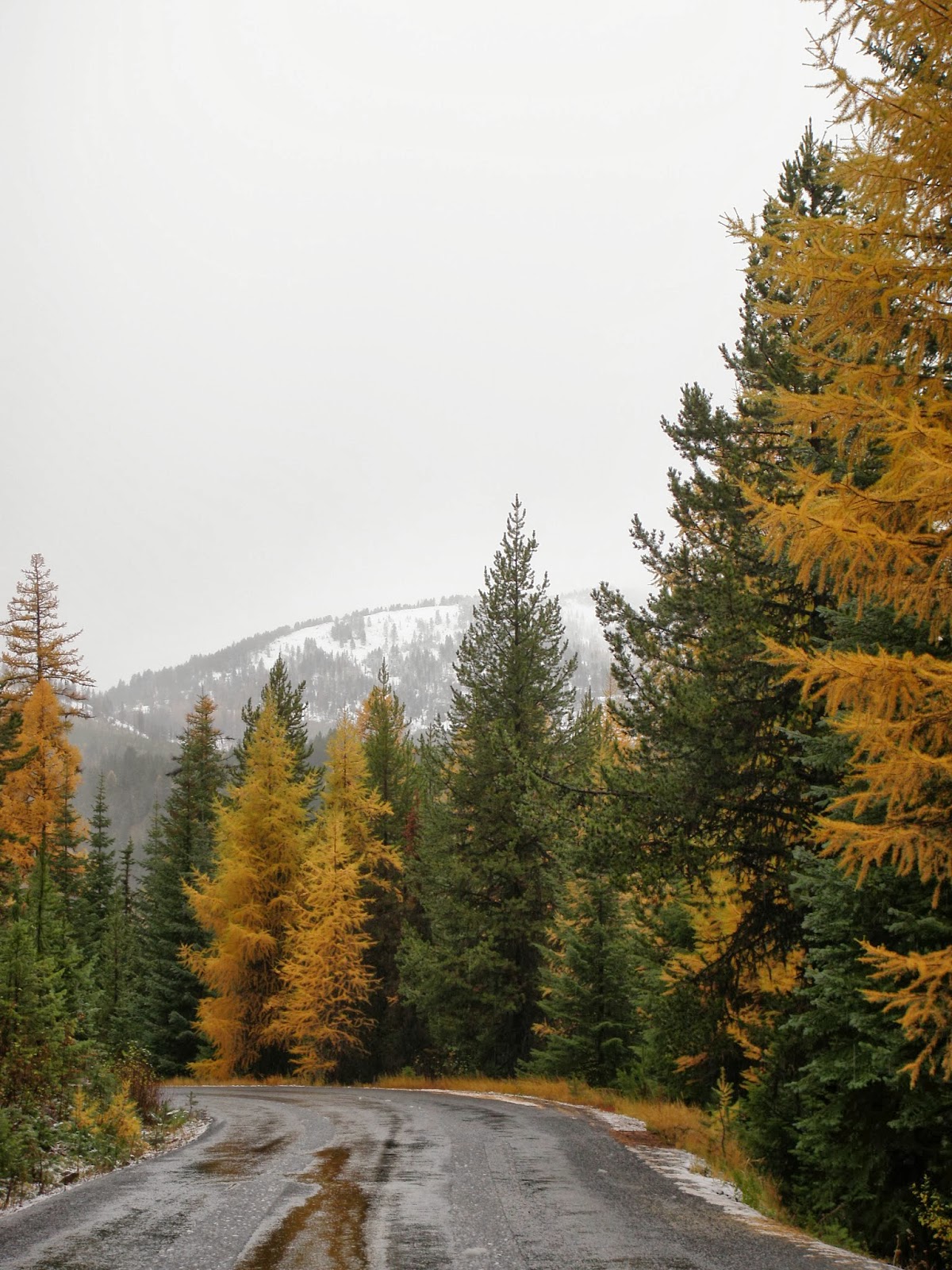 Pacific Northwest Seasons: Fall Colors in the Pacific Northwest