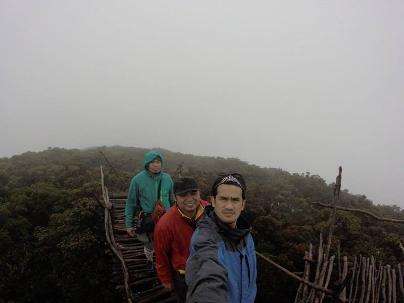 Skookum Mountaineers: Mt. Tabayoc - Into the mossy forest and up in the ...