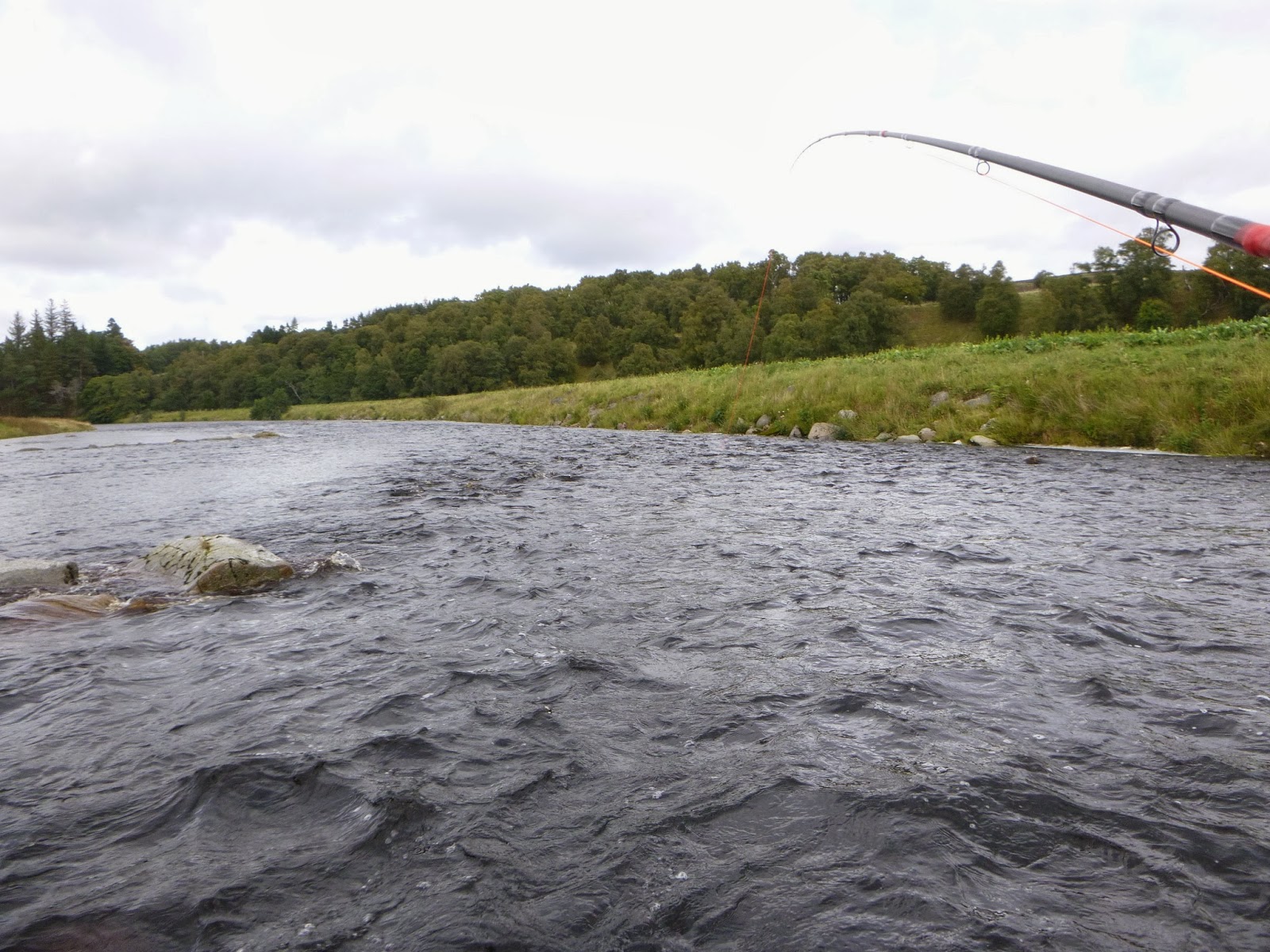 Just One Week: Ambush Tactics - close, personal and a little dirty