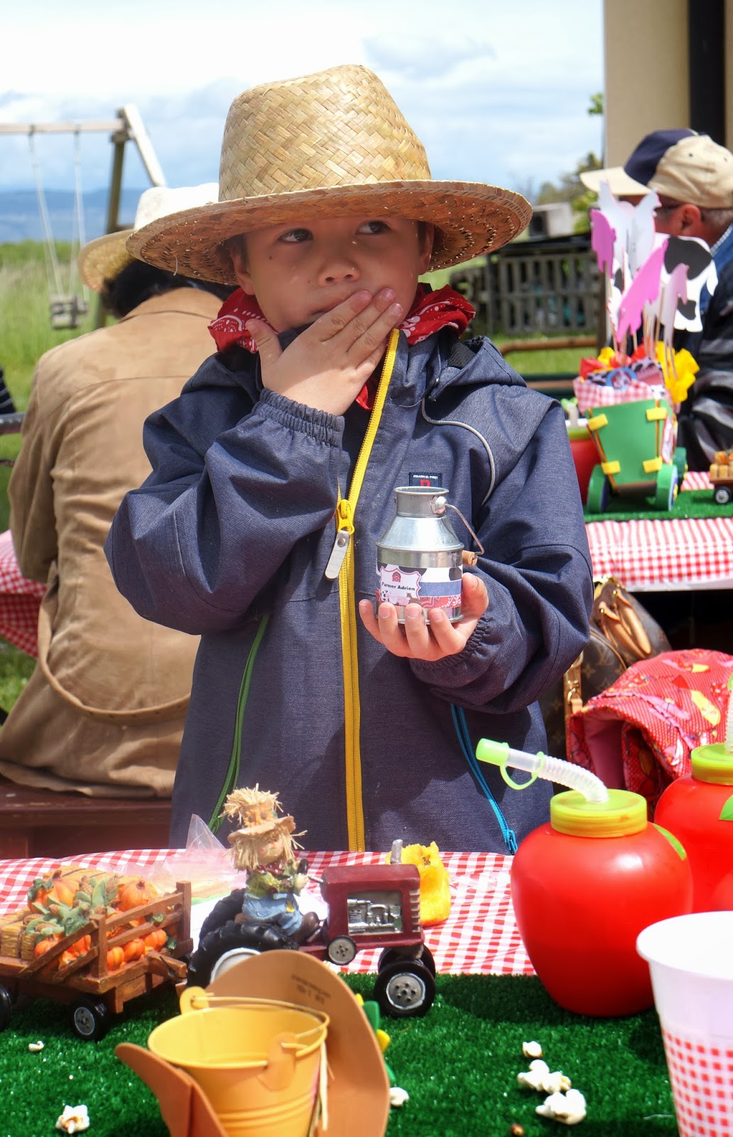 BOYS WILL ALWAYS BE BOYS: FARMER ADRIEN BIRTHDAY PARTY