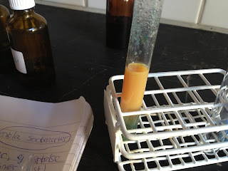 Noors digitala portfolio: Ämnen i vår skollunch