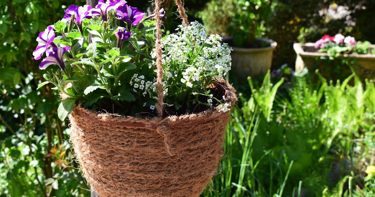 DIY Plastiktopf verschönern | DIY Ghiveci de plastic decorativ | DIY ...