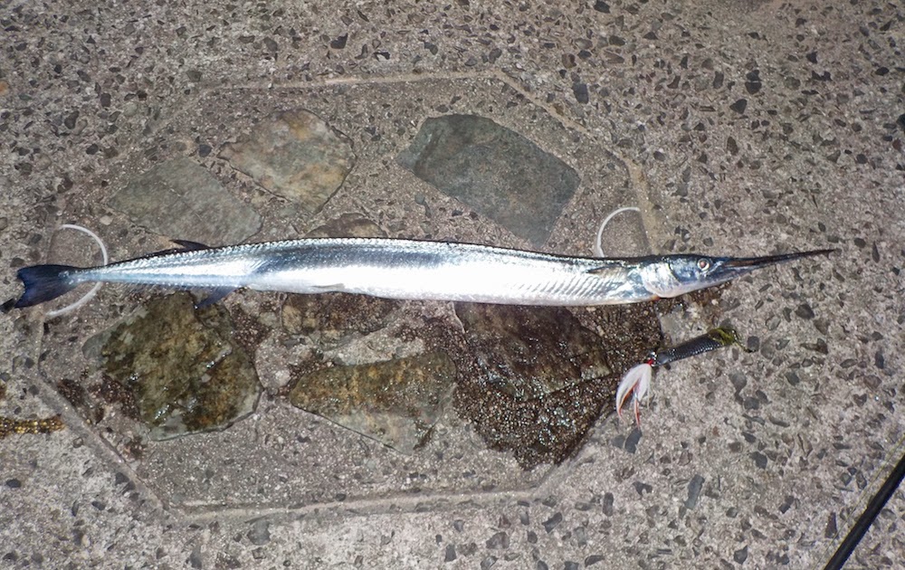 American saltwater lures can catch Japanese fish?: (No. 48) Big ...