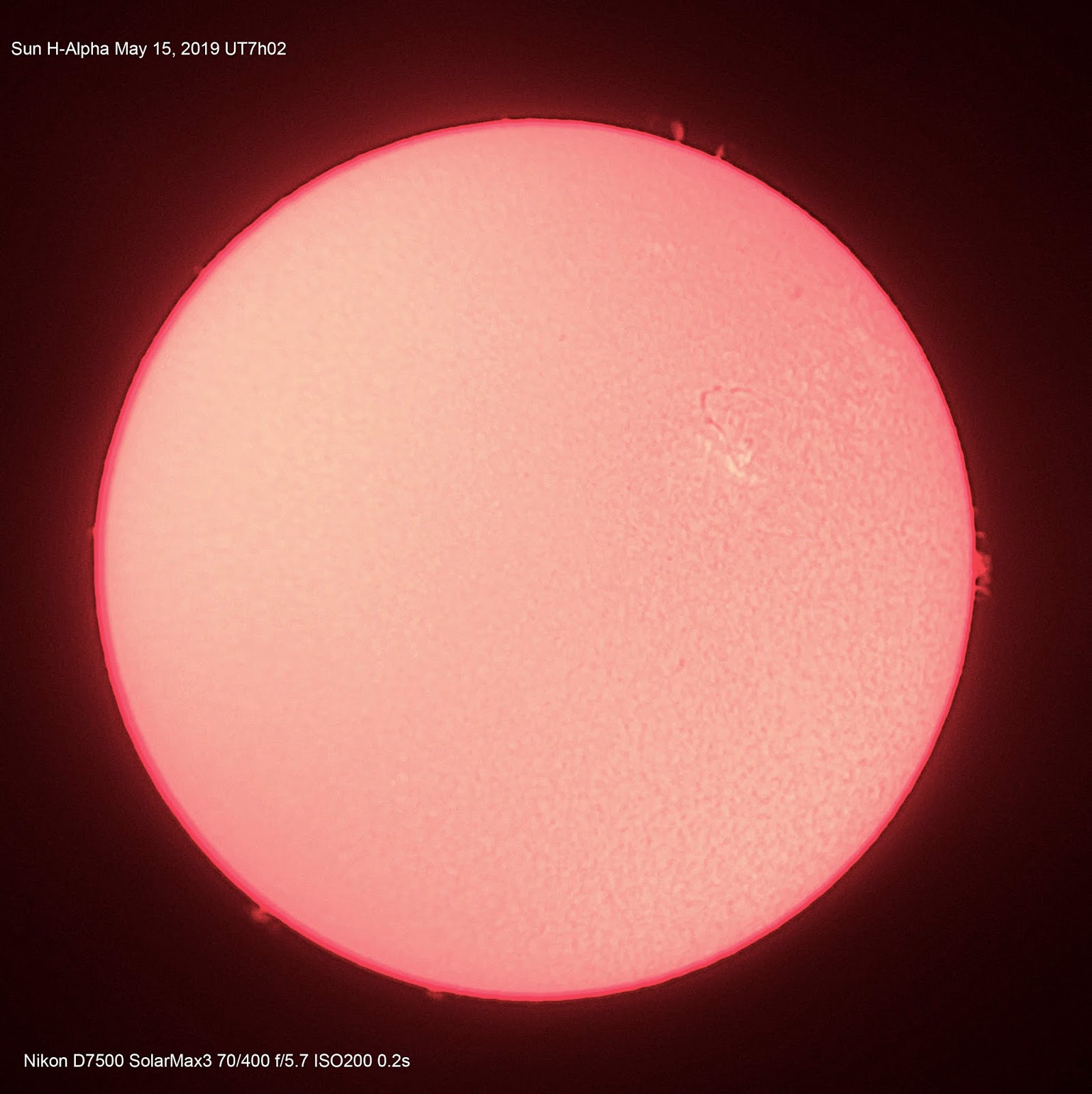 Pascal Hilkens Astro Page : Sun H-Alpha Solarmax3