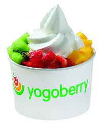 Yogoberry lança novos produtos e espera um aumento de 20% nas vendas de ...