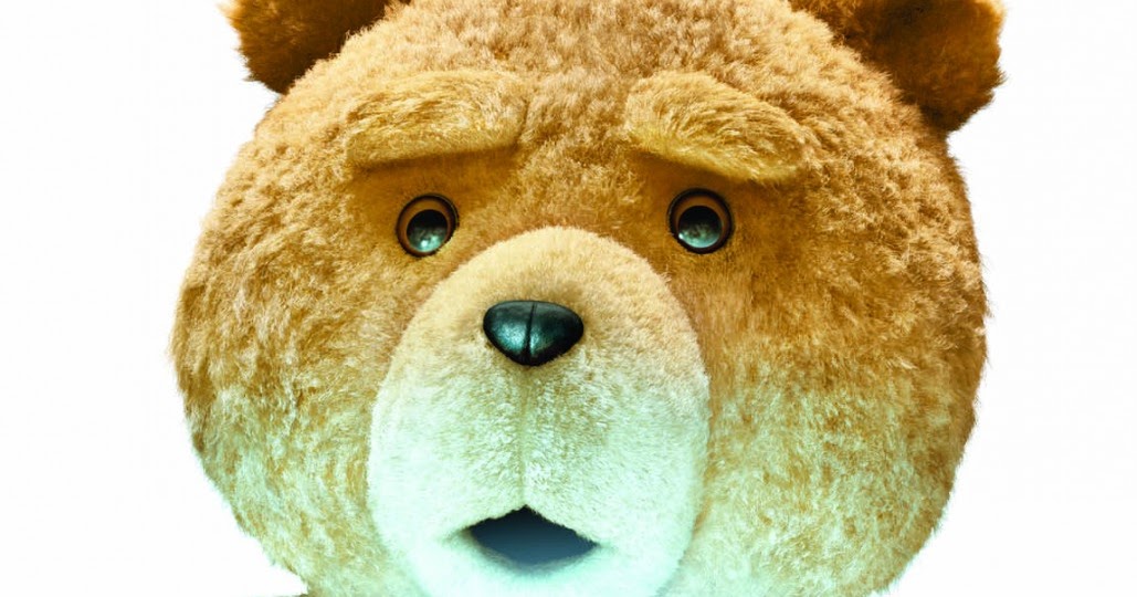 Axel Perez Blog: El simpatico y mal hablado osito que hizo de las suyas ...