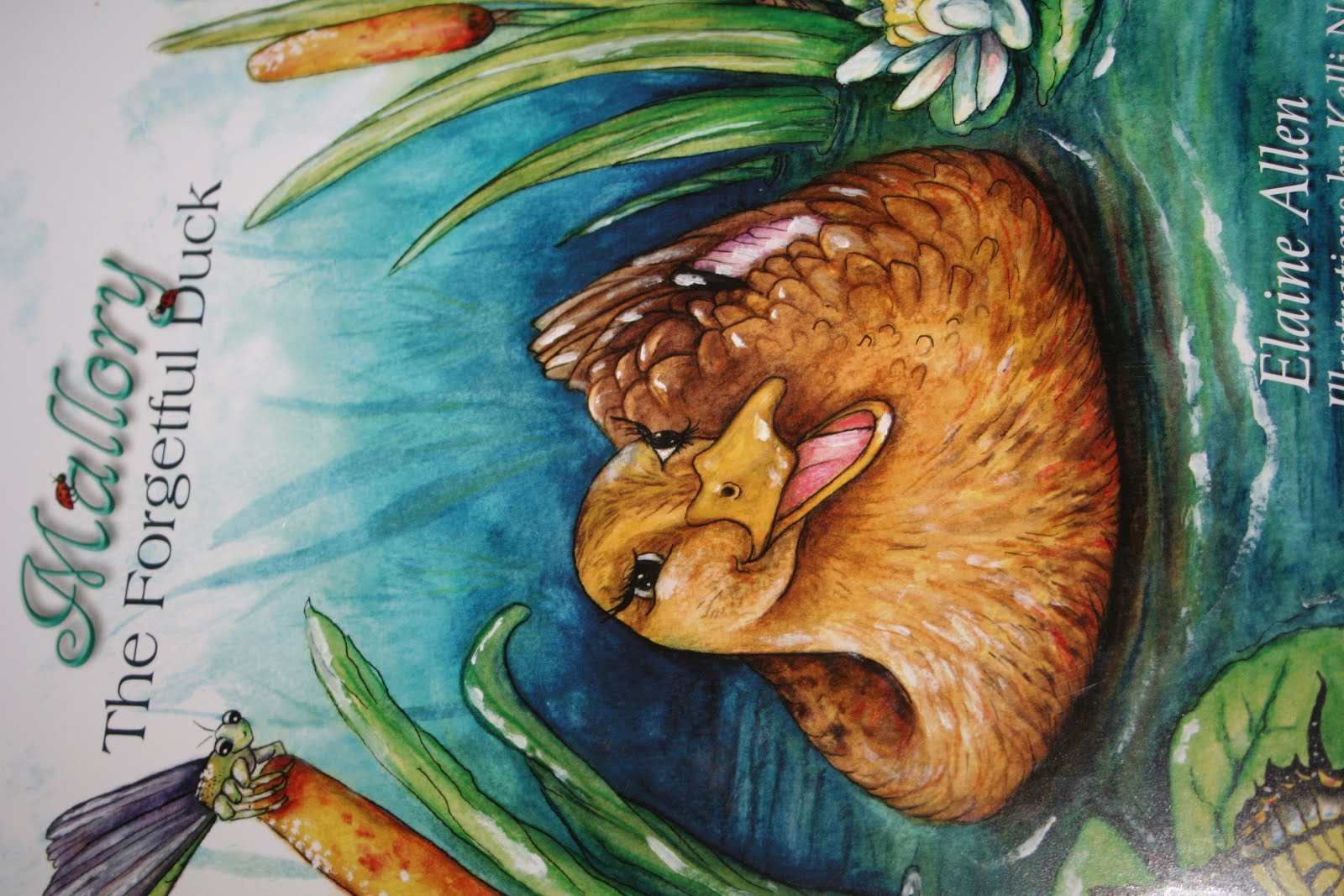 Puddle Jumping: 3 New Animal Books For Kids From Schiffer