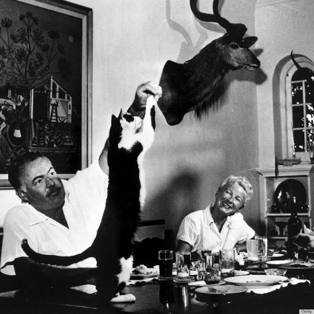 26 Interesting Vintage Photos of Ernest Hemingway With His Beloved Cats ...