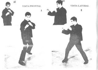 Is the JKD on guard stance the optimal stance period? | MartialTalk.Com ...