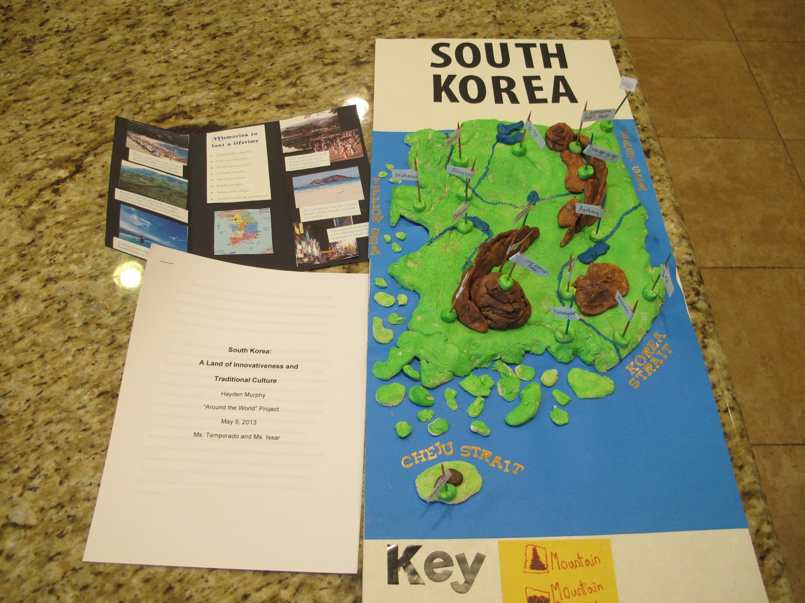 Murphy's Madhouse: South Korea Project