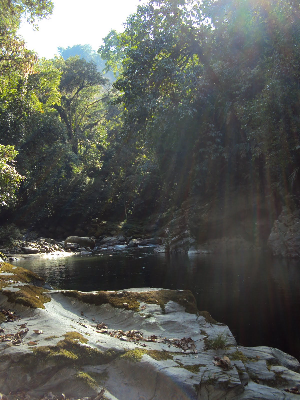 Youth For Nature: My Trip to Seppa, East Kameng District, Arunachal ...