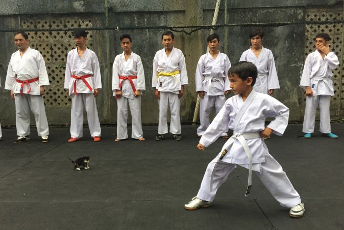 Okinawan Fighting Art "Ti": Karate Kat