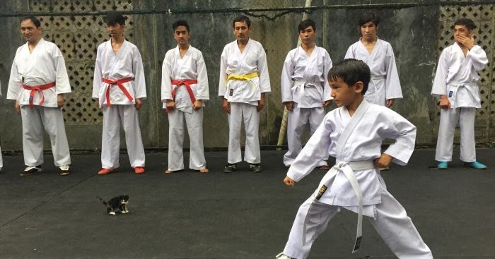 Okinawan Fighting Art "Ti": Karate Kat