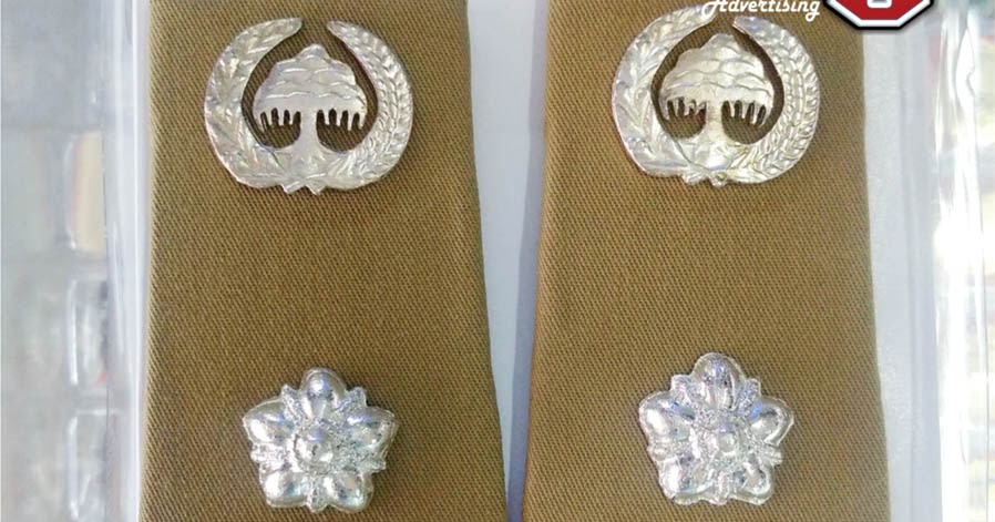 PANGKAT PNS LENGKAP GOLONGAN 2A, 2B, 2C, 2D ~ ATRIBUT 68