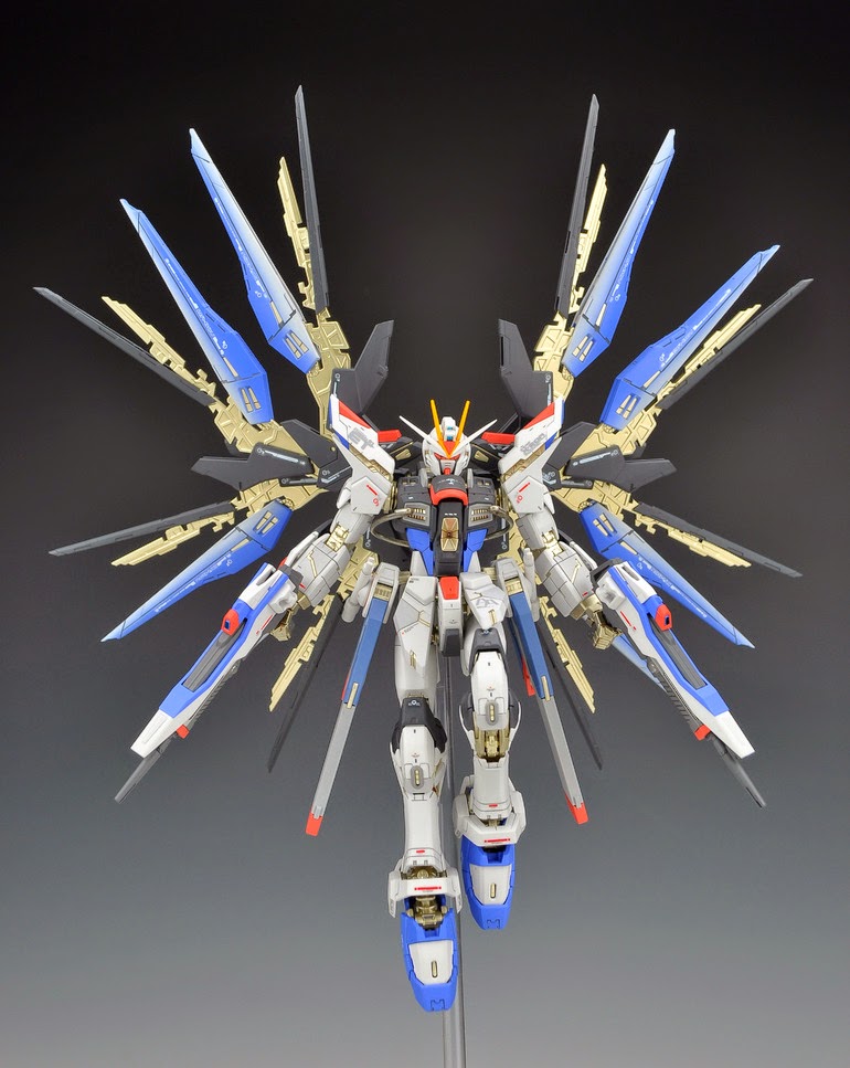 Strike Freedom Gundam Rg