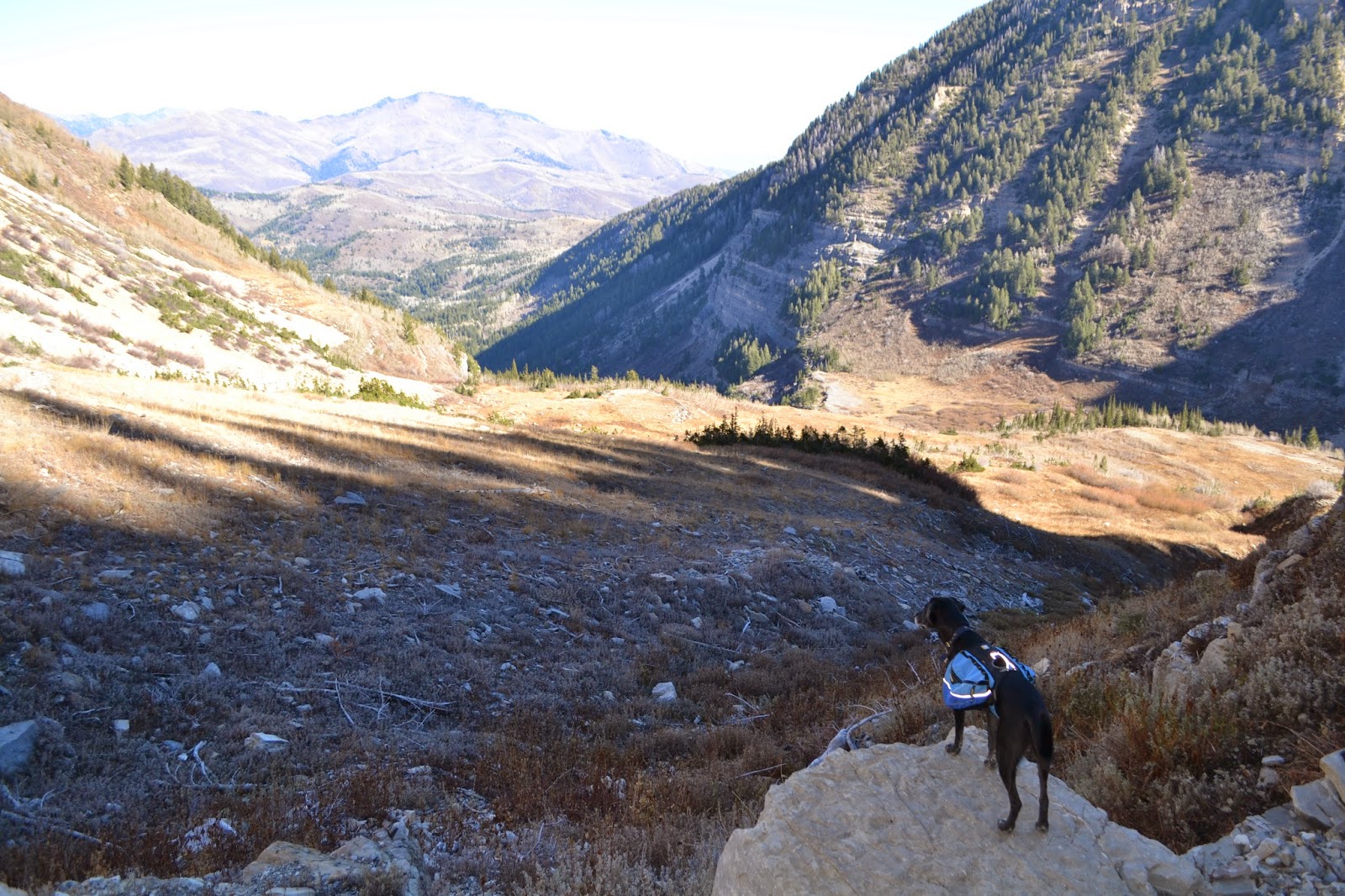 Katie Wanders : Mount Timpanogos, Utah - Hiking to the summit on the ...