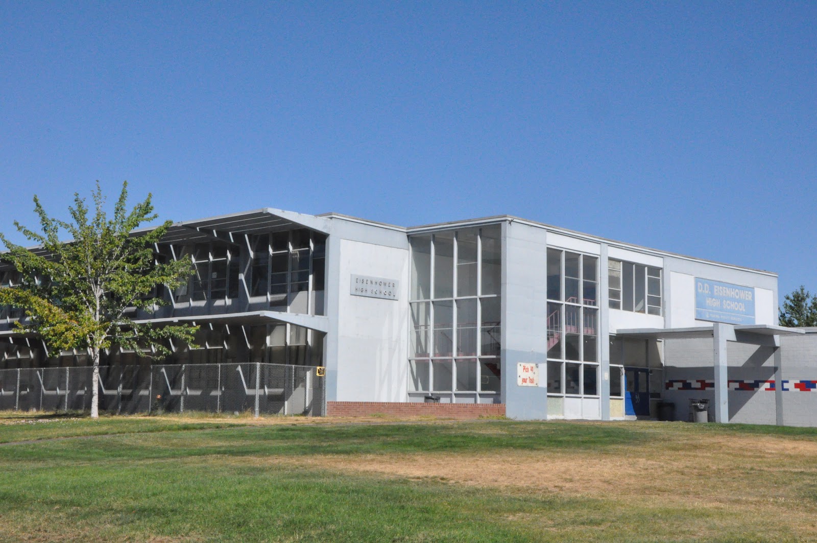 Y Not?: Twenty Years Ago