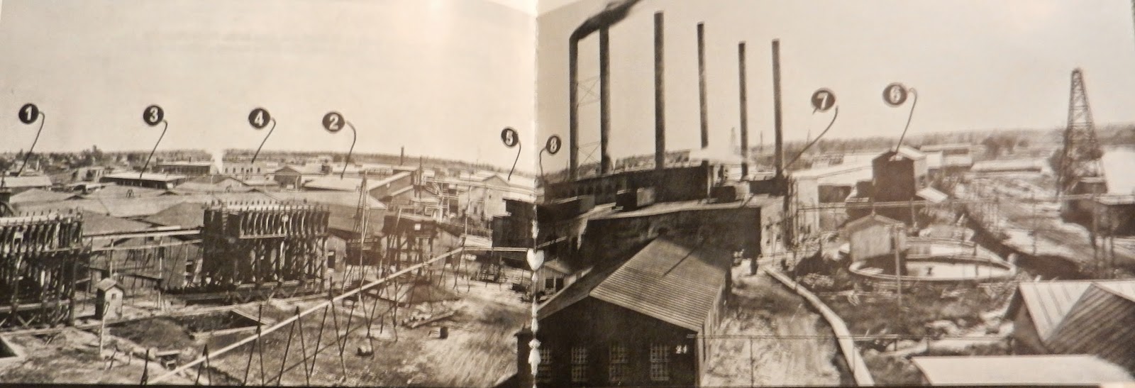 MI Lake Home Garden: MI Garden History: Dow Gardens - Midland MI