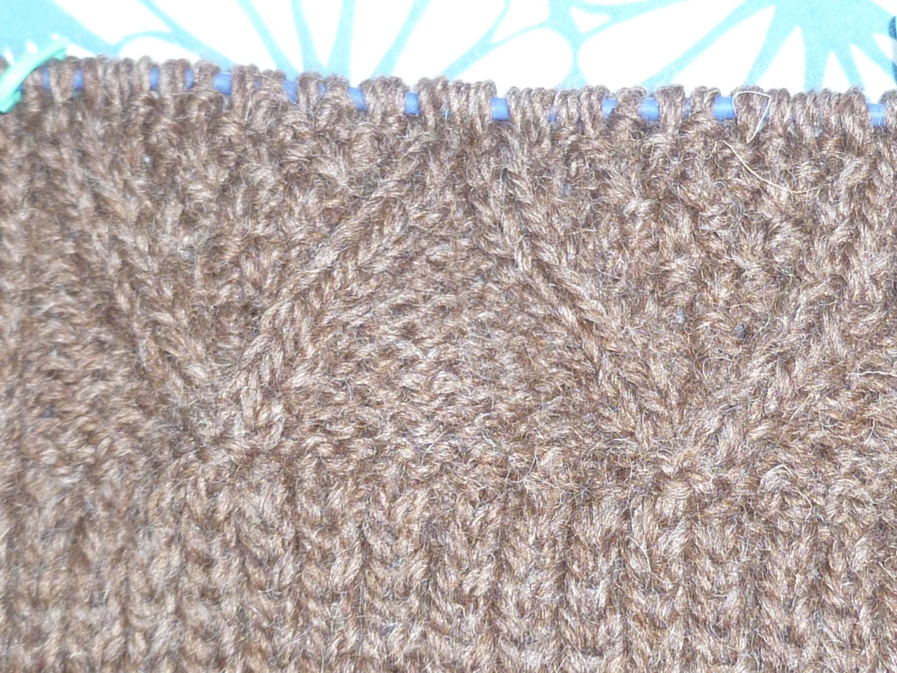 The Knitted Brow: vacationing and knitting and flowers galore