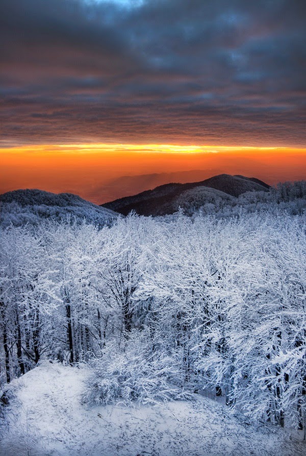 Creative Ideas: Winter Scenes