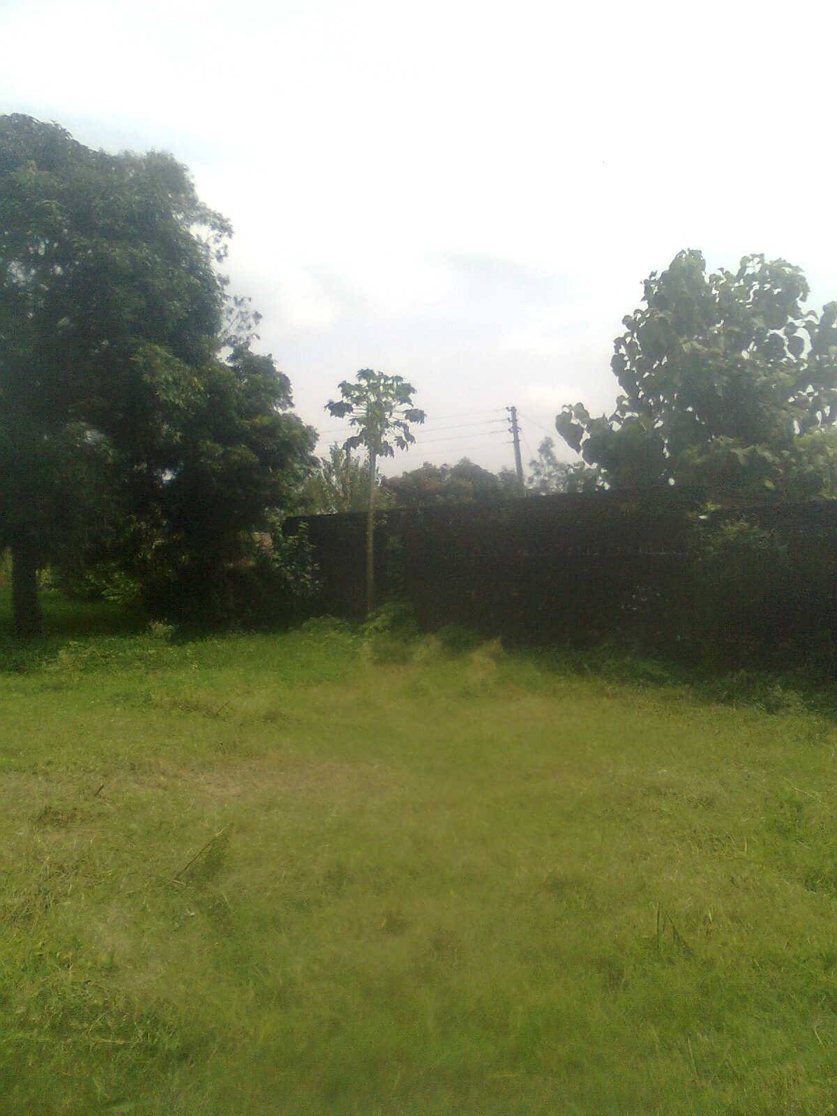 Beautiful India: PILIBHIT , UTTAR PRADESH