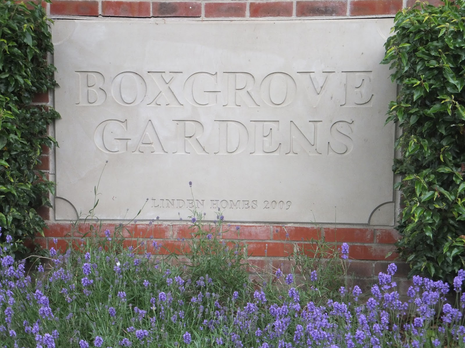 Guildford Property Newsletter: Boxgrove Gardens developed for town and ...