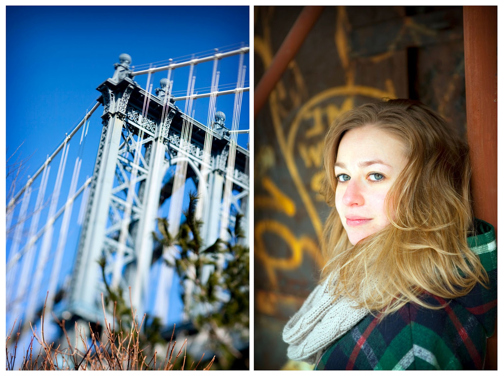 Alexis Stein Photography