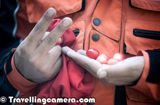 It's time to pluck fresh cherries from orchards around famous Kotgarh ...