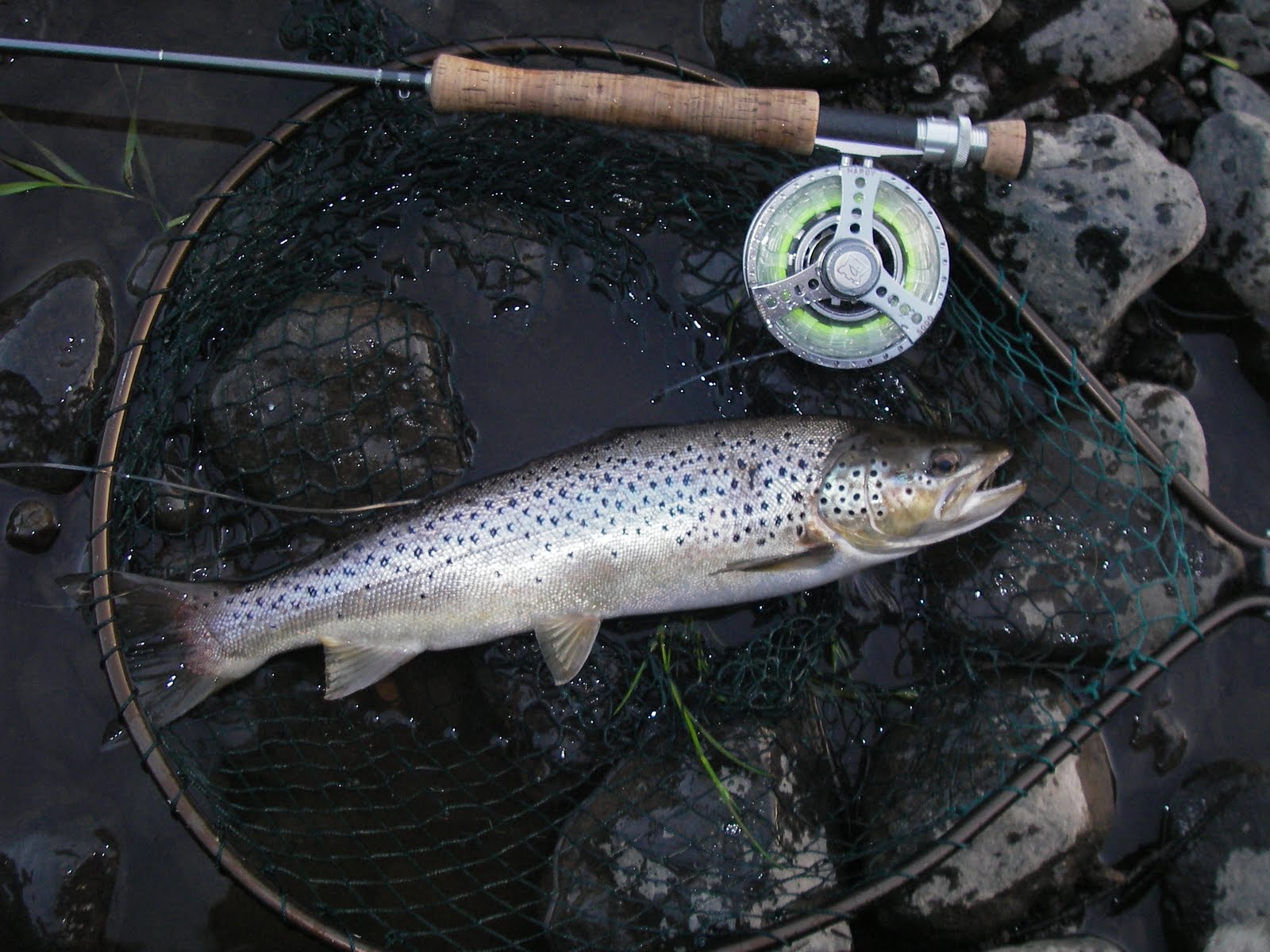 Stevie Munn. Fly Fisher.: February 2011