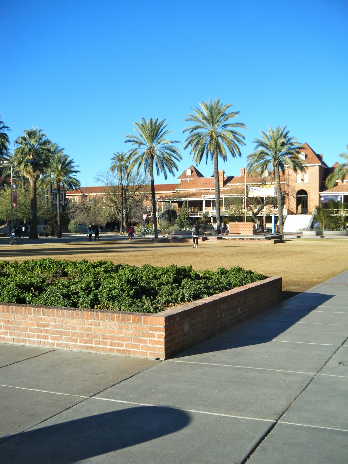 The University of Arizona Mall- Bridging the Gap Between Tucson and the ...