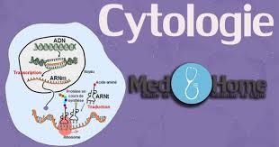 1ere année medecine ( Cytologie ) cours+des controles