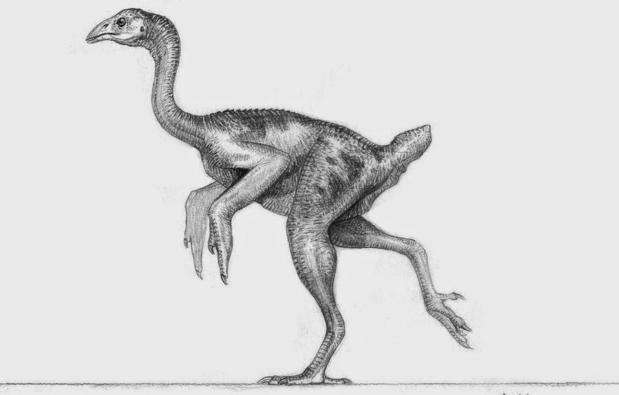 Stephen Bodio's Querencia: If you prefer featherless Dinos...